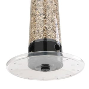 Yankee Flipper Official Website - Premium Bird Feeders